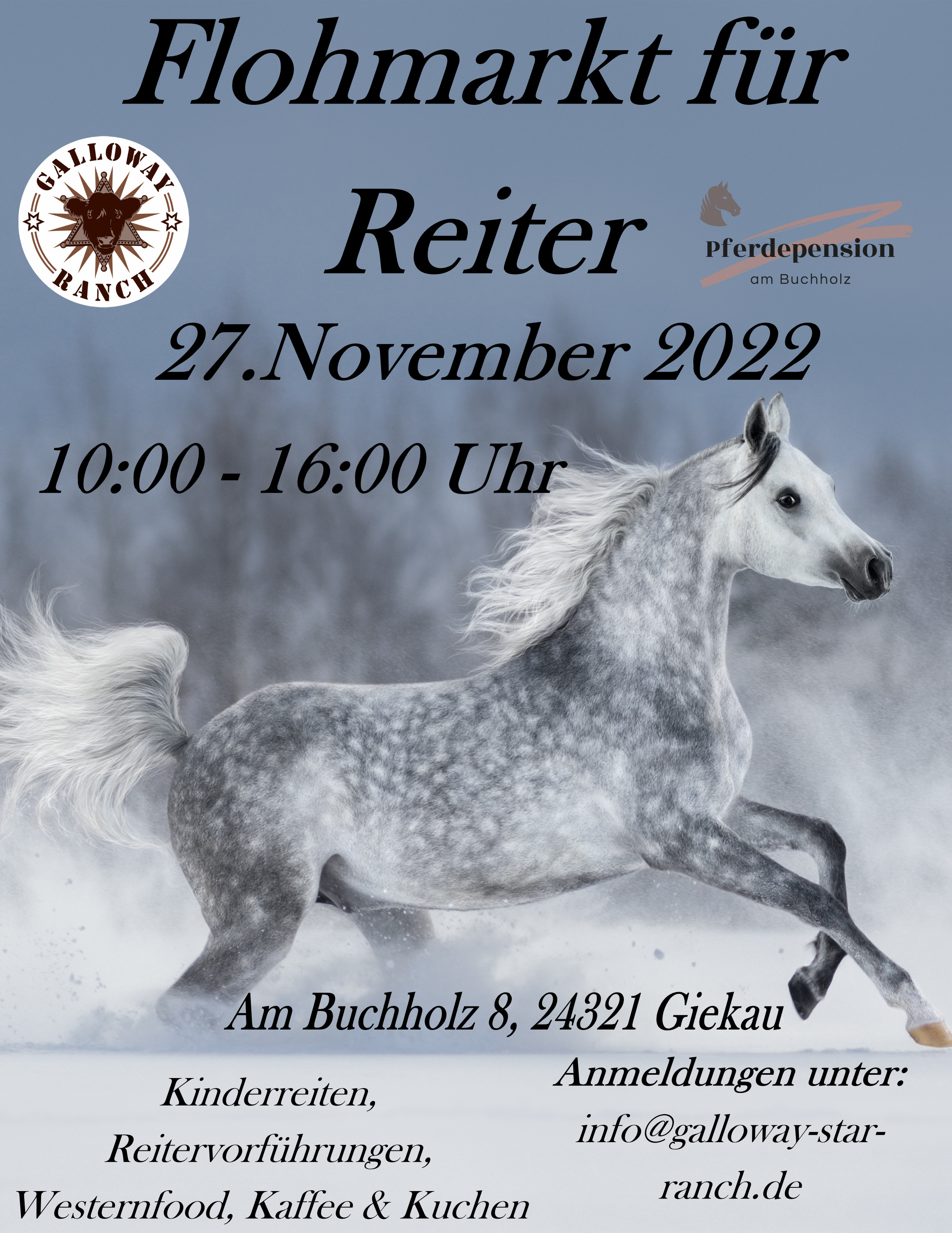 Flohmarkt für Reiter - Galloway Star Ranch